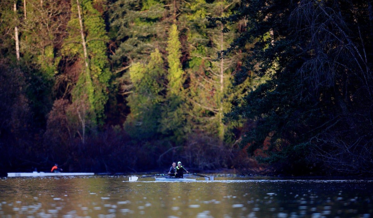 Adults | Victoria City Rowing Club